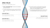 PresentationLoad | DNA Double Helix