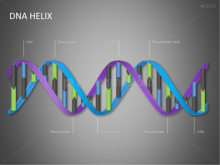 DNA Double Helix | PowerPoint Templates | PresentationLoad