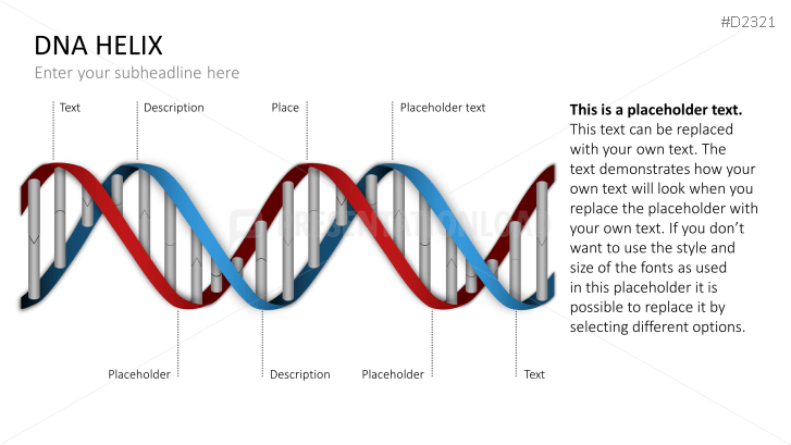 DNA Double Helix | PowerPoint Templates | PresentationLoad
