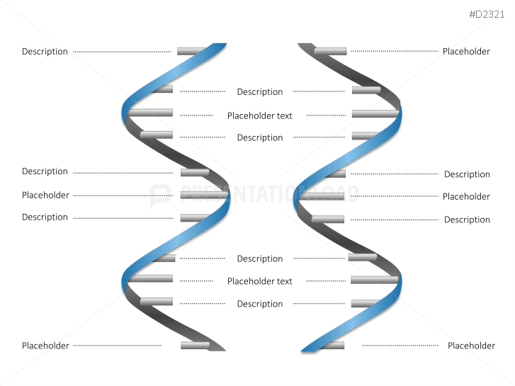 DNA Doppelhelix | PowerPoint Vorlage | PresentationLoad