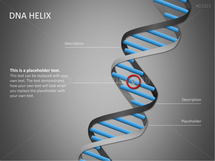 DNA Double Helix | PowerPoint Templates | PresentationLoad