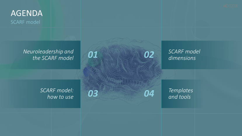 SCARF model ️ Understand neuroleadership ️ Motivate employees and ...